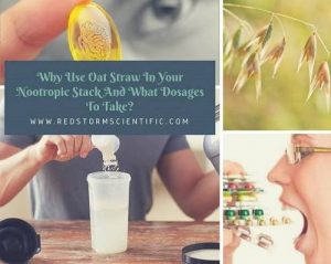 Why To Use Oat Straw In Your Nootropic Stack? | Redstorm Scientific
