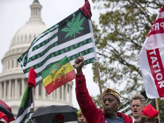 CBD Oil In Washington, D.C – Laws, Rules And Buying Guide | Redstorm