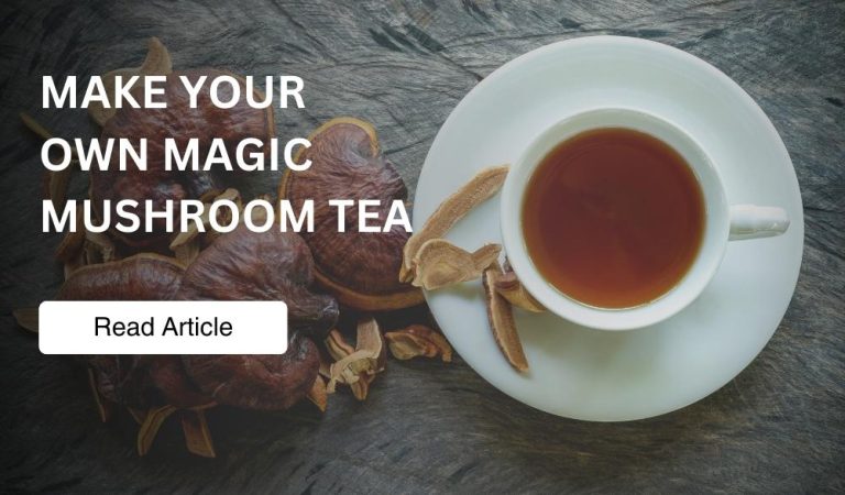 7 Quick Steps to Make Your Own Magic Mushroom Tea | Redstorm Scientific
